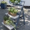 Galaxy Plant Shelf